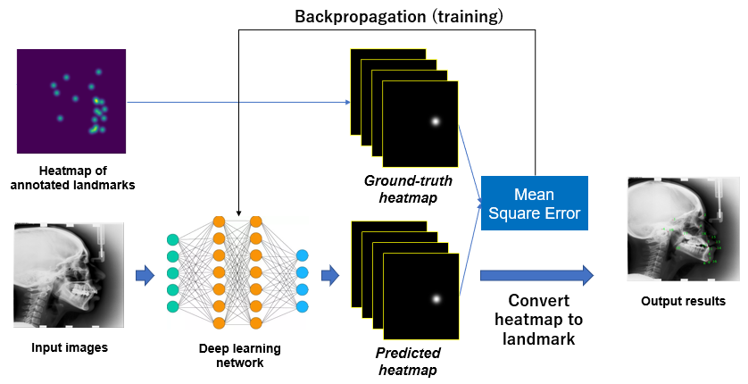 Automatic Cephalometric Landmark Detection Nguyen Huy Thanh