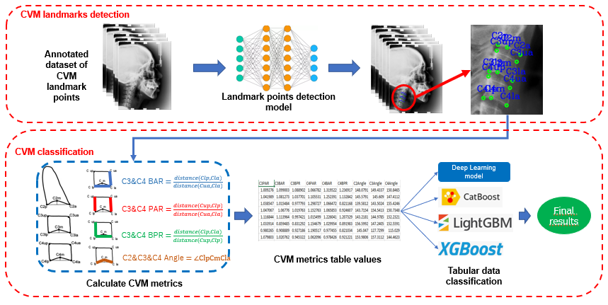 Fully automated Cervical Vertebral Maturation assessment | Nguyen Huy Thanh